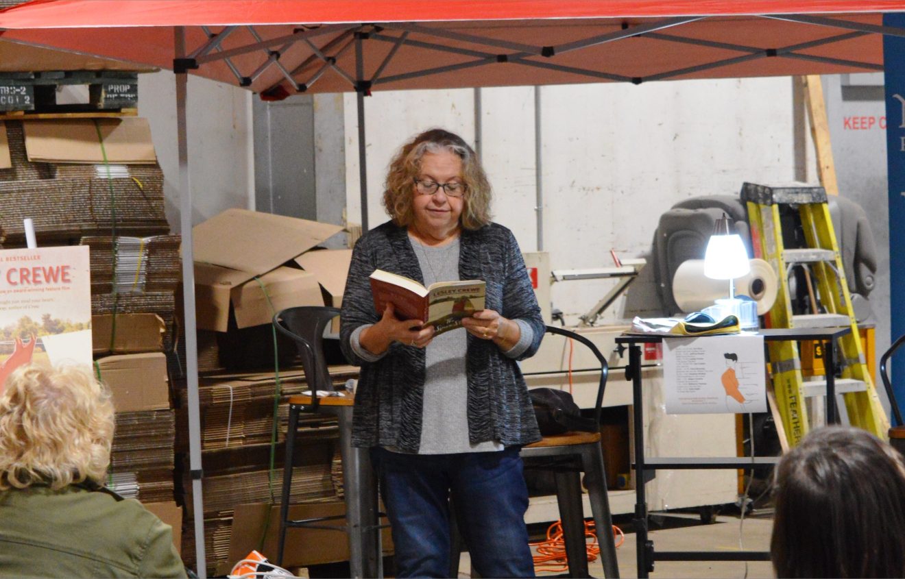 Our Staff Reads ‘The Spoon Stealer’ by Lesley Crewe – Dartmouth Book ...